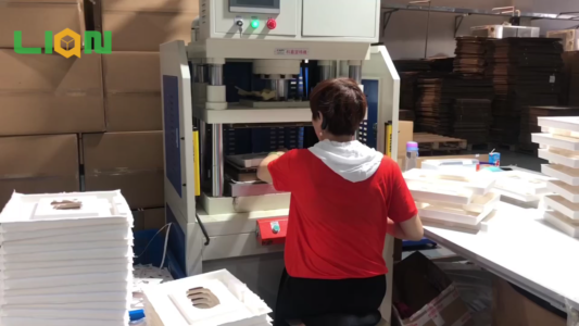 Trimming Process - Molded Pulp Packaging in Lian Pack 2022