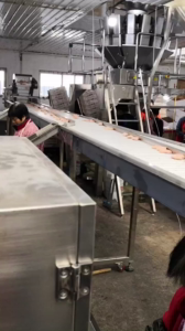 Efficient and Accurate Sorting and Grading: Introducing Eruis Chicken ...