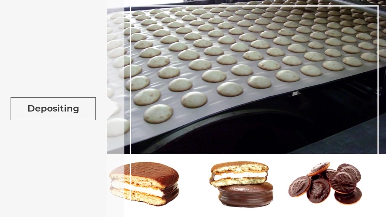 HG INDUSTRY GROUP - Full Automatic High Capacity Swiss Roll Layer Cake ...