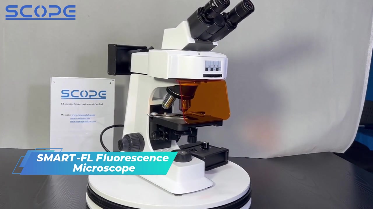 Fluorescence Microscope 2-Groups Filter SMART-FL2 LED Illumination Lab ...