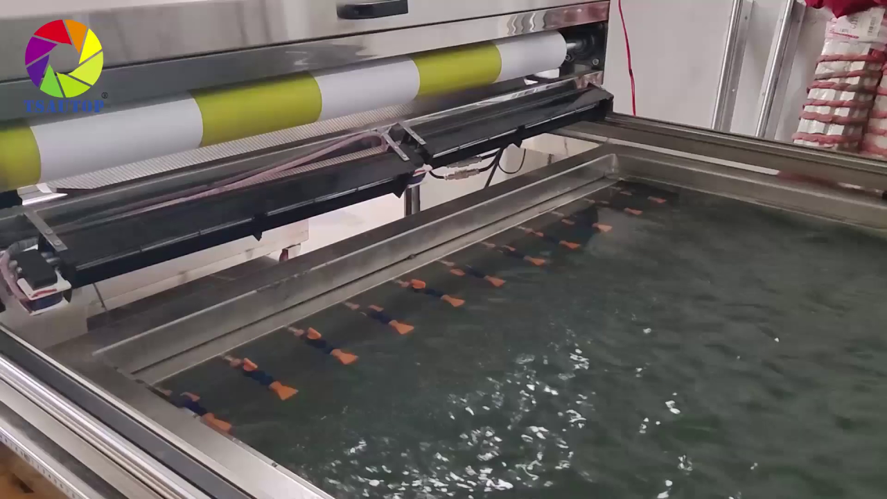Fully Automatic Hydro Dipping Equipment | TSAUTOP