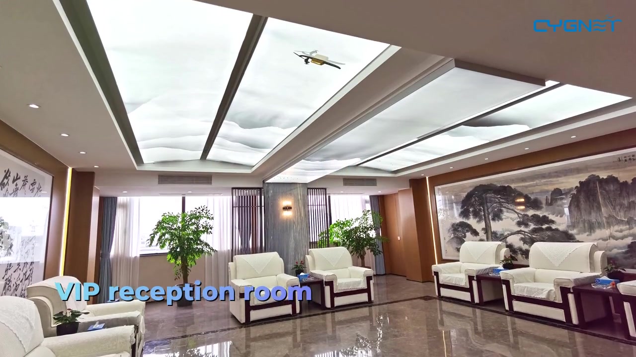 Intro to VIP Reception room installed with lightbox to ceiling Cygnet